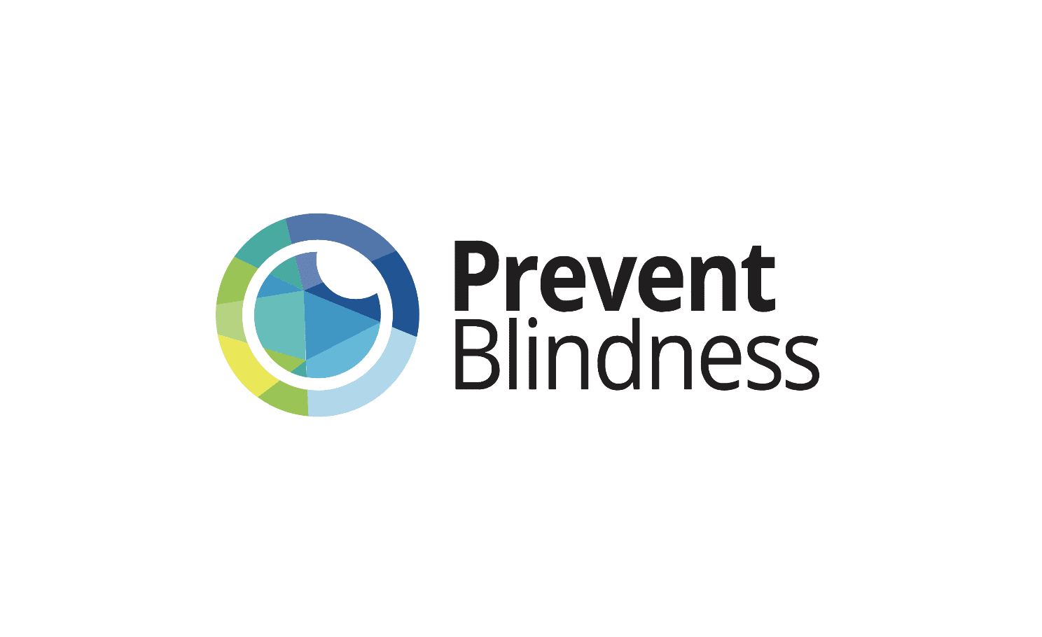Guest Blog: Prevent Blindness Holds the Fourth Annual Geographic ...